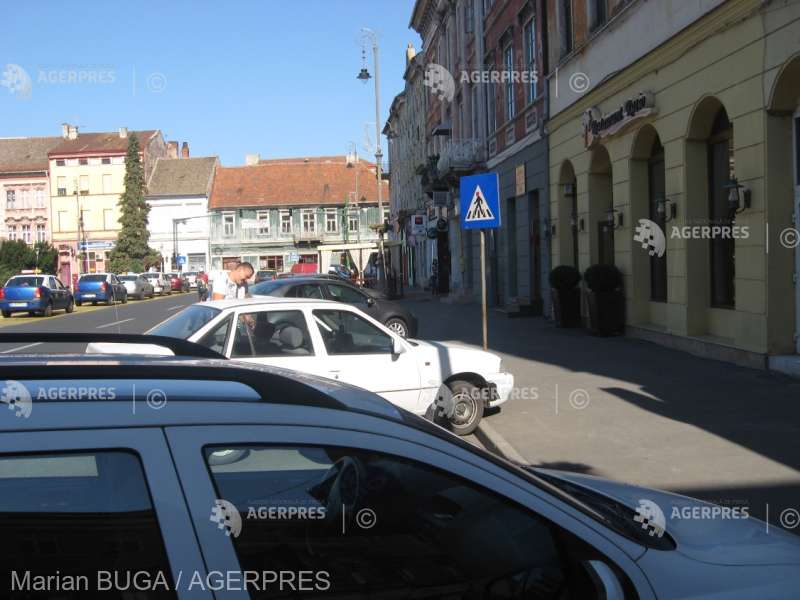 Arad: Aproximativ 40% din legitimaţiile de handicap de pe parbrize ...